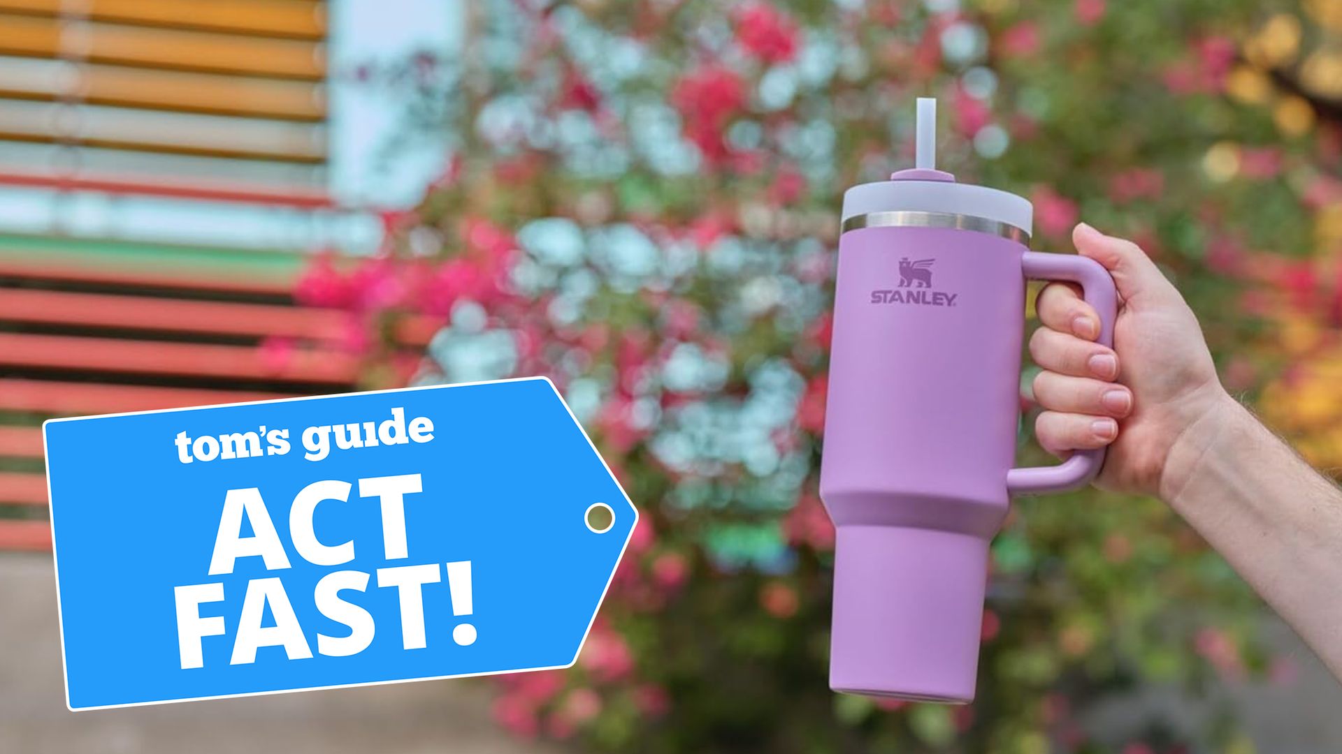 Where to buy Stanley tumblers — shop Amazon, REI and more | Tom's Guide