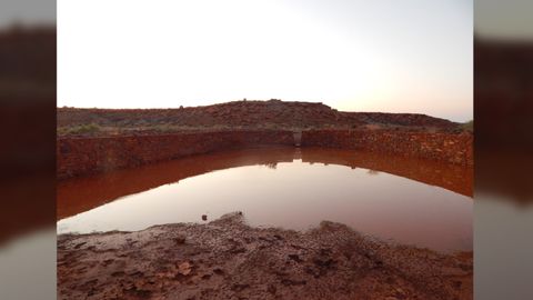 Hundreds of three-eyed 'dinosaur shrimp' emerge after Arizona monsoon | Live Science