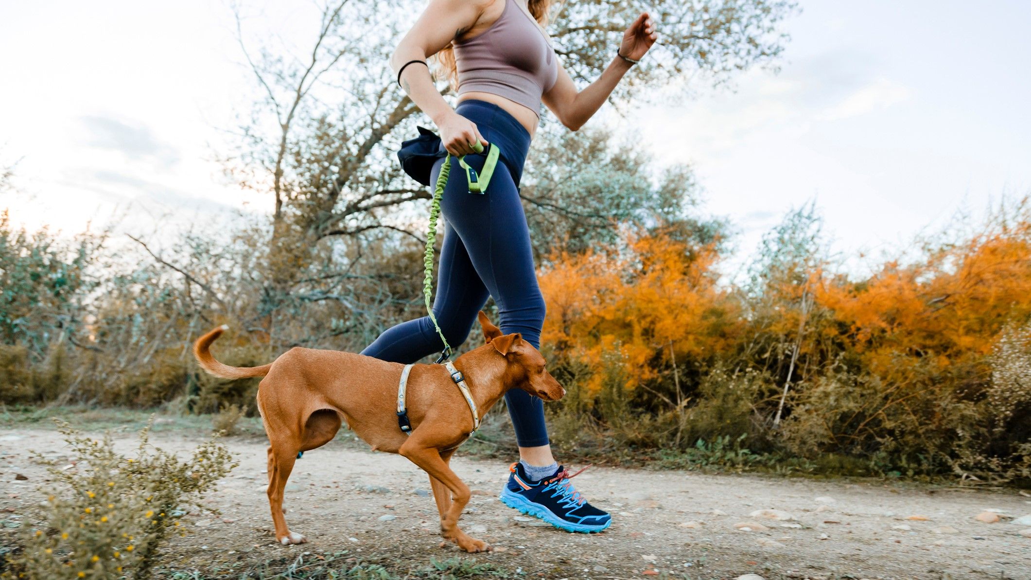 How to run with your dog — here’s what you need to know | Tom's Guide