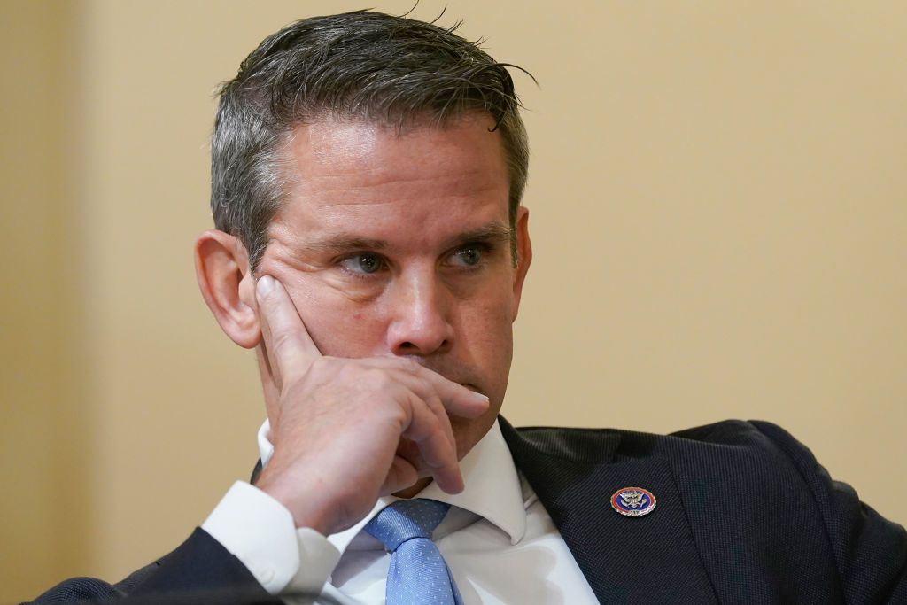 Adam Kinzinger's House seat is on the redistricting chopping block ...