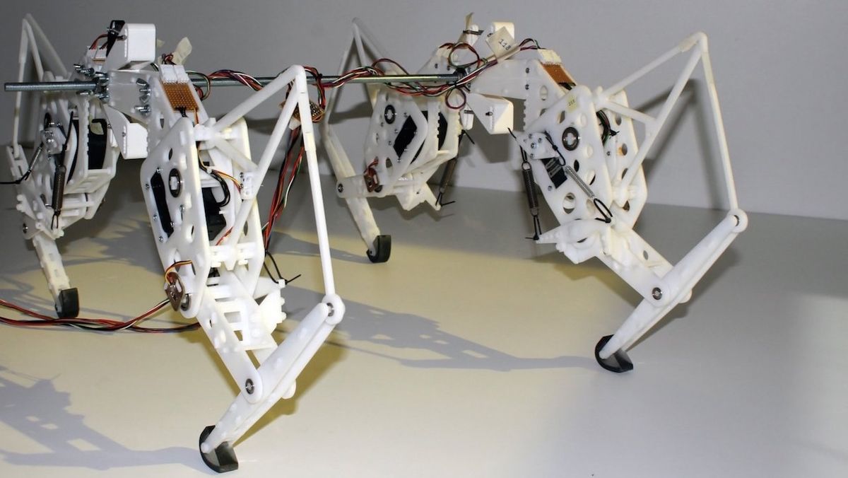 This electronic cheetah-bot can help us develop more efficient robots ...