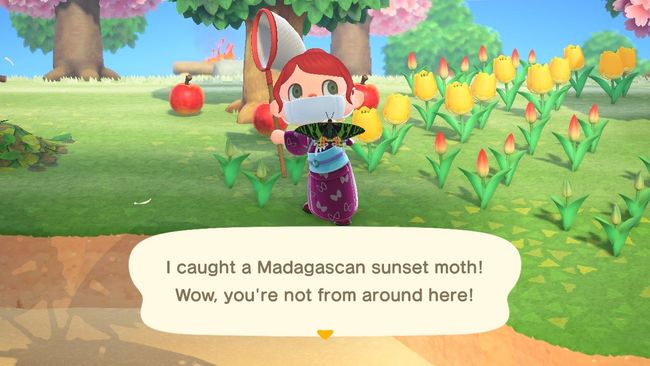 Animal Crossing: New Horizons - Tips and tricks for catching rare bugs ...