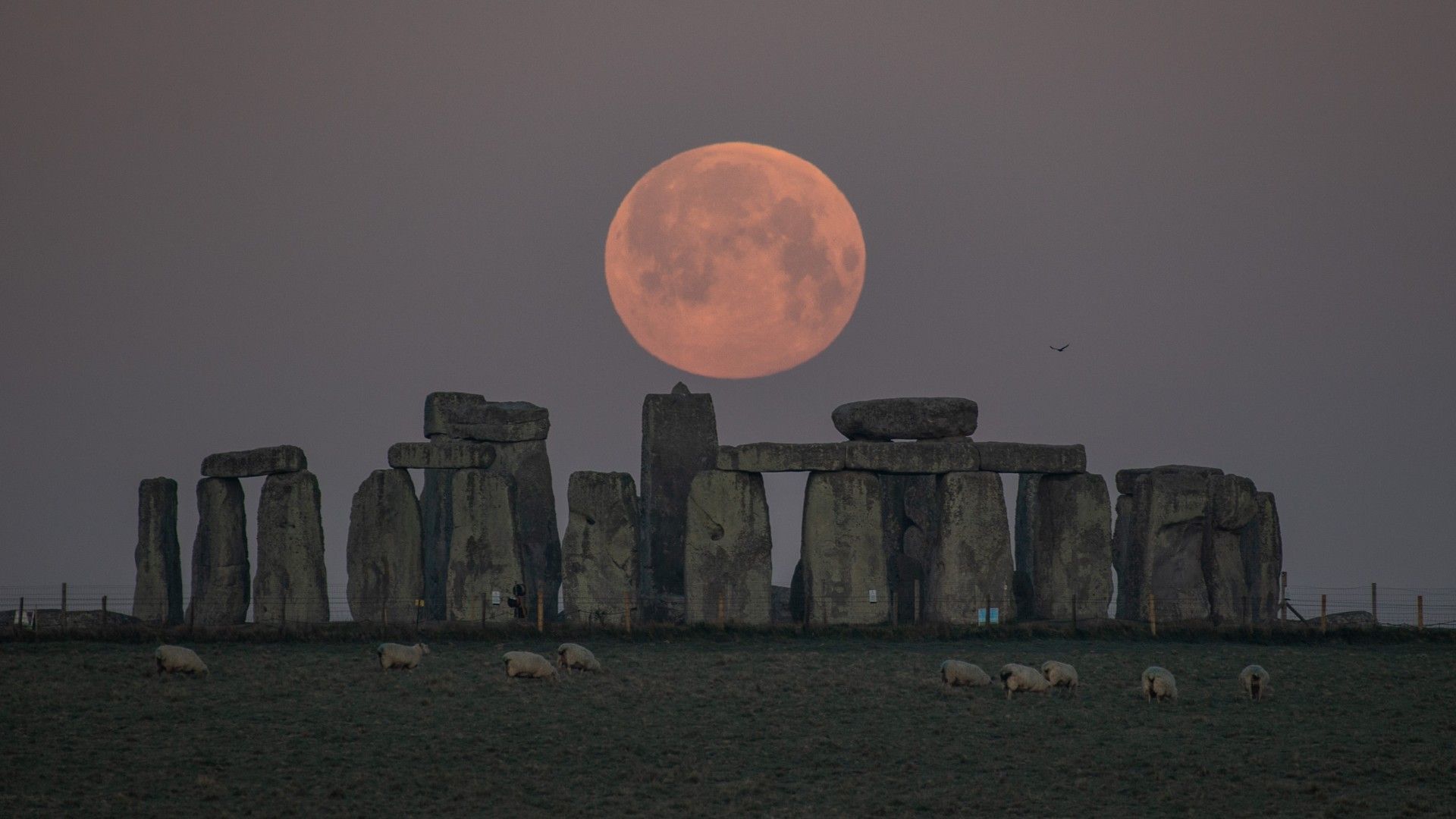 April full moon 2025: The Pink Moon hides one of the brightest stars in ...