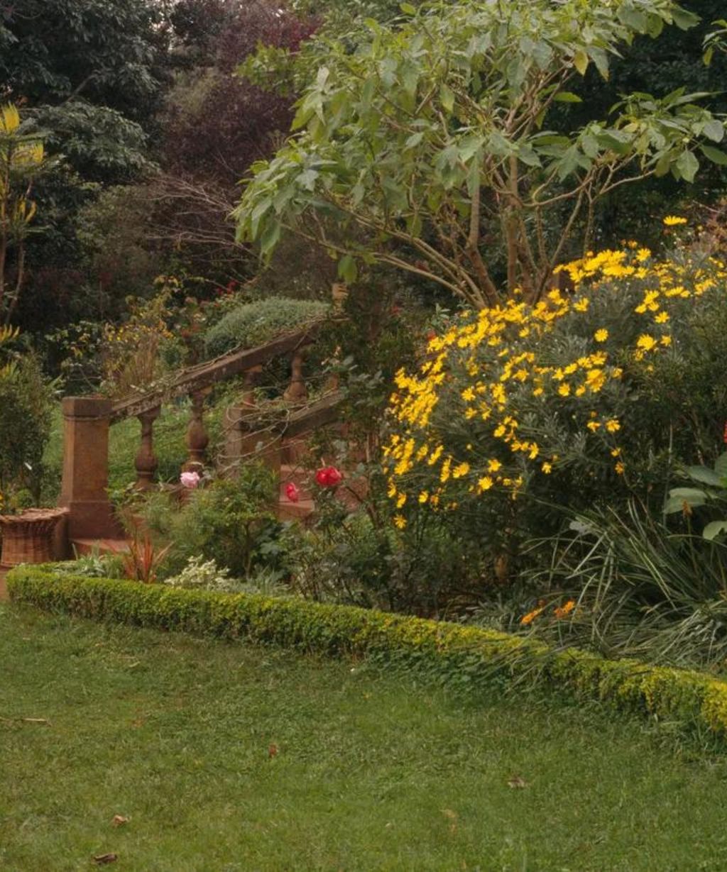 14 lawn edging ideas to enhance your lawn and landscape | Real Homes