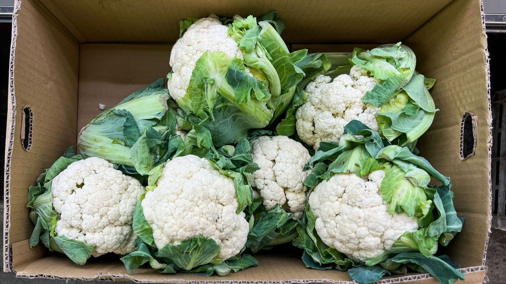 32 surprising things rabbits can eat | PetsRadar