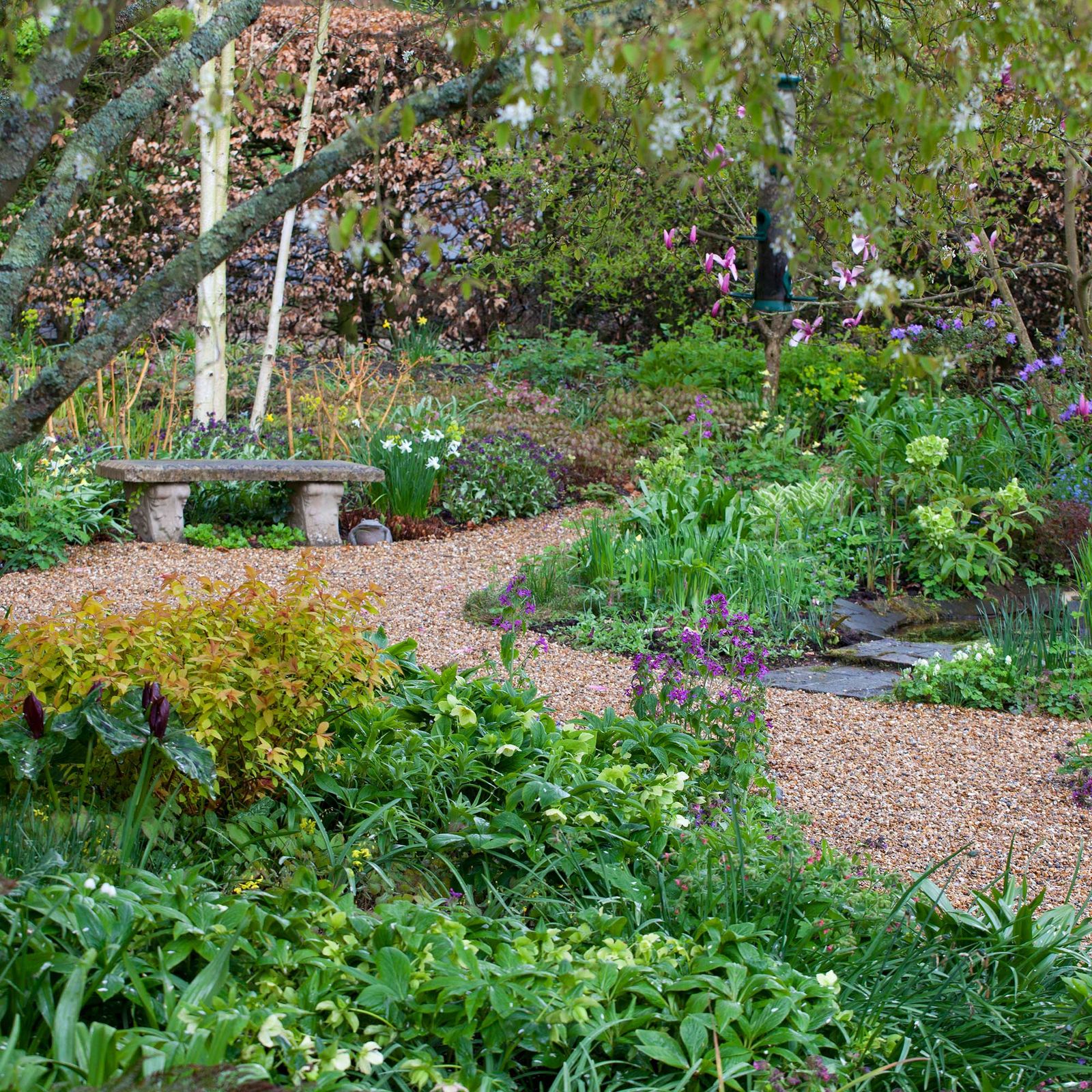 Woodland garden ideas: simple ways to create a serene spot | Ideal Home