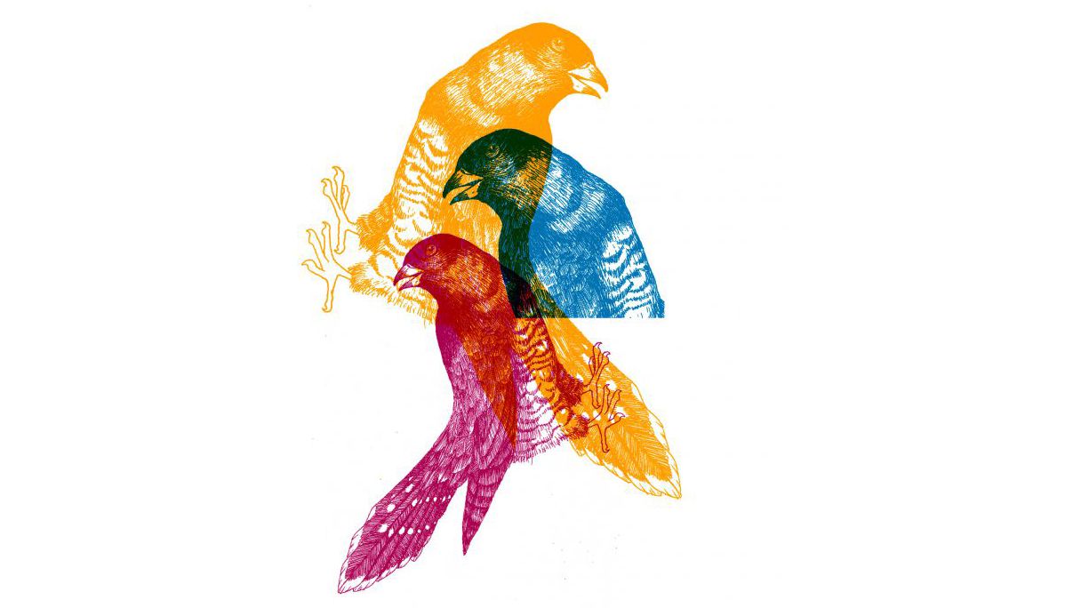 15 inspiring examples of screen printing | Creative Bloq