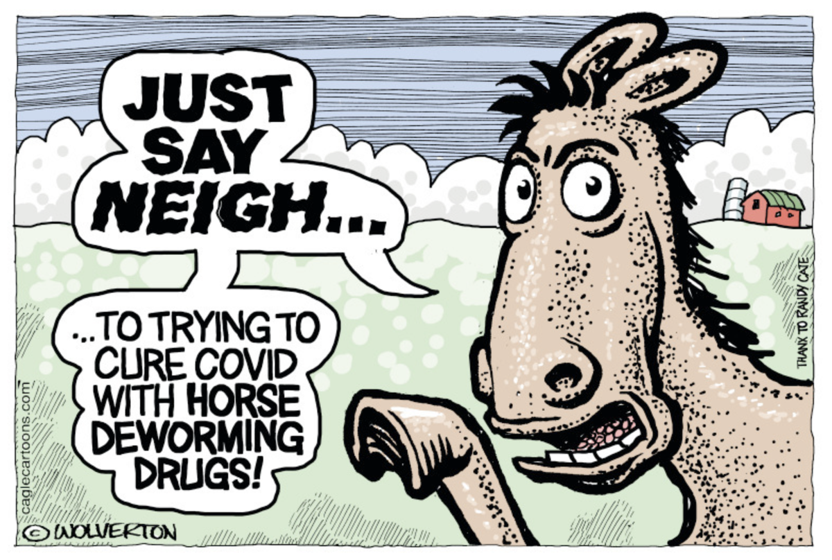 horse drugs | The Week