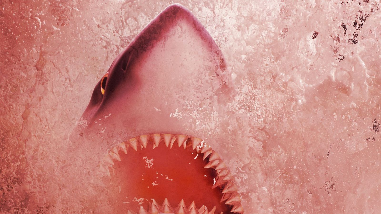 Why Is a Period Called Shark Week? - What Is Shark Week? | Marie Claire