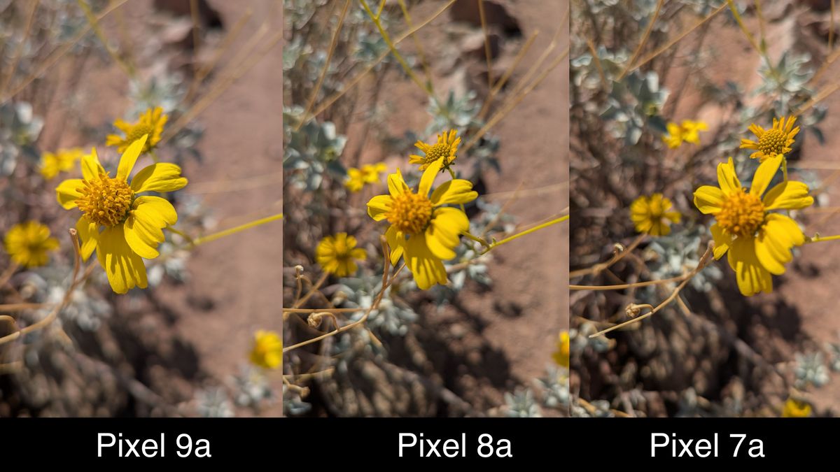 I pit the Google Pixel 9a camera against the Pixel 8a and Pixel 7a ...