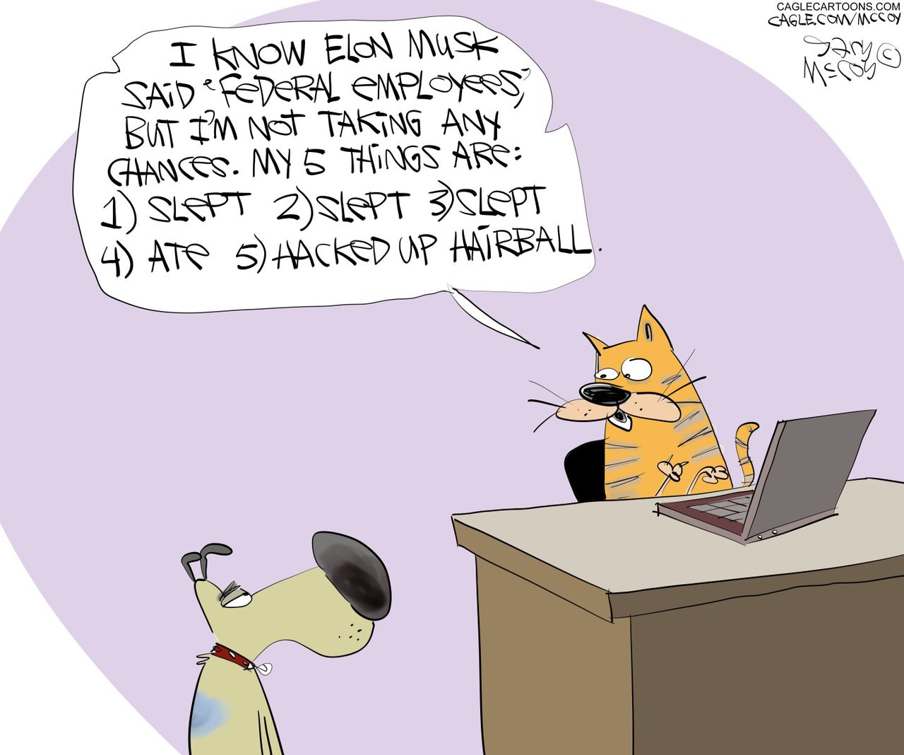 5 hilariously productive cartoons about 5 things Elon Musk did last ...