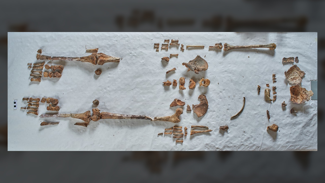 Bones Found In A Church Are Earliest Verified Remains Of An English 