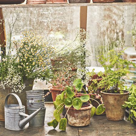 Be inspired by this stunning Victorian semi in Berkshire | Ideal Home