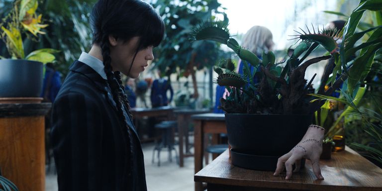 Where Was 'Wednesday' Filmed? All About the Filming Locations in Season ...