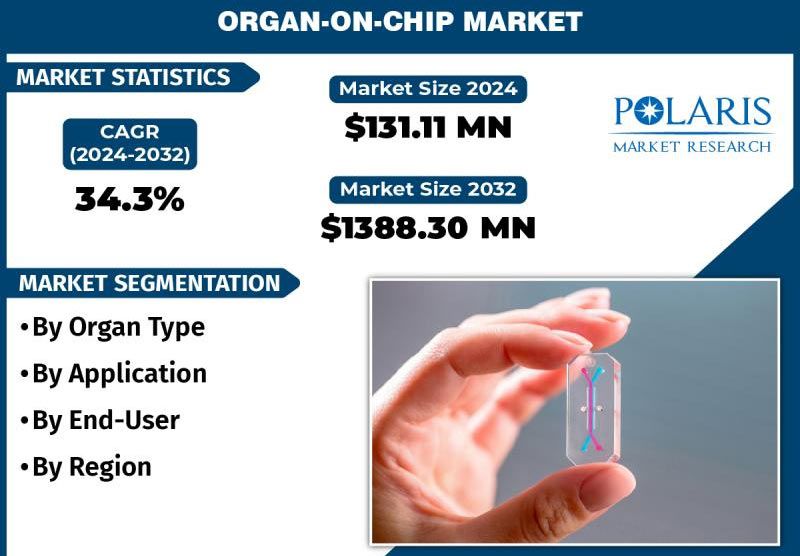 Organ-on-chip market for drug testing expected to see tenfold growth to ...