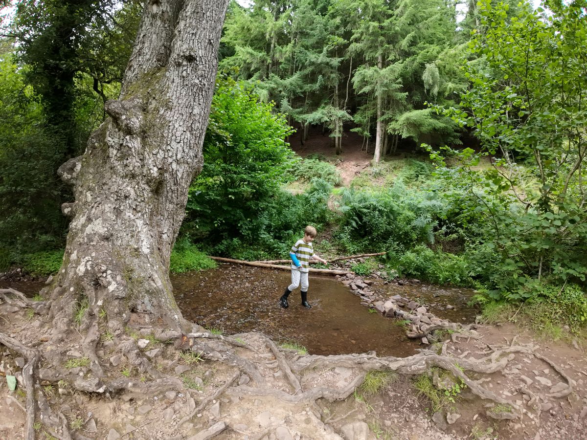 I want vacation photos and videos that are really unique: these are the ...