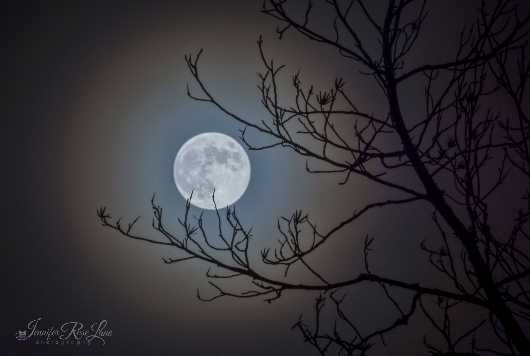 Easter's Early Arrival: How the Moon Shapes the Date | Space