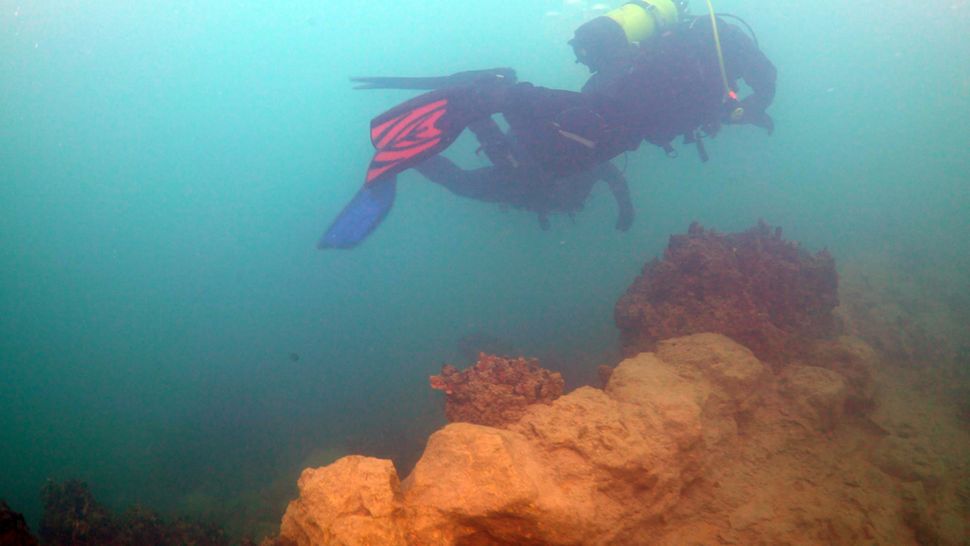 In Photos: Ancient Castle Discovered Beneath Turkey's Lake Van | Live ...
