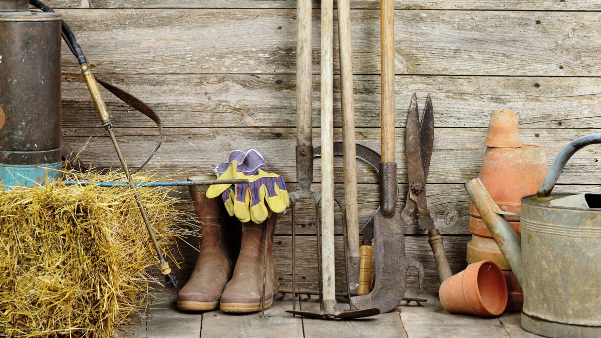 5 ways to get rid of rust stains and look after your garden tools | Tom ...