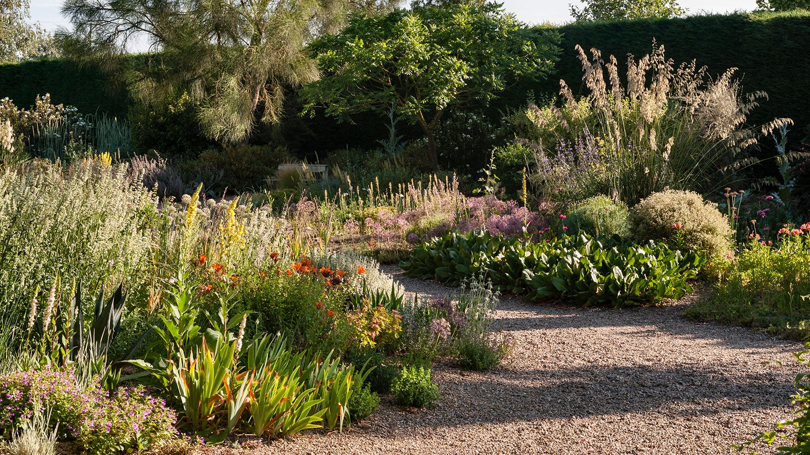 Mediterranean garden ideas: plants, design and materials | Homebuilding