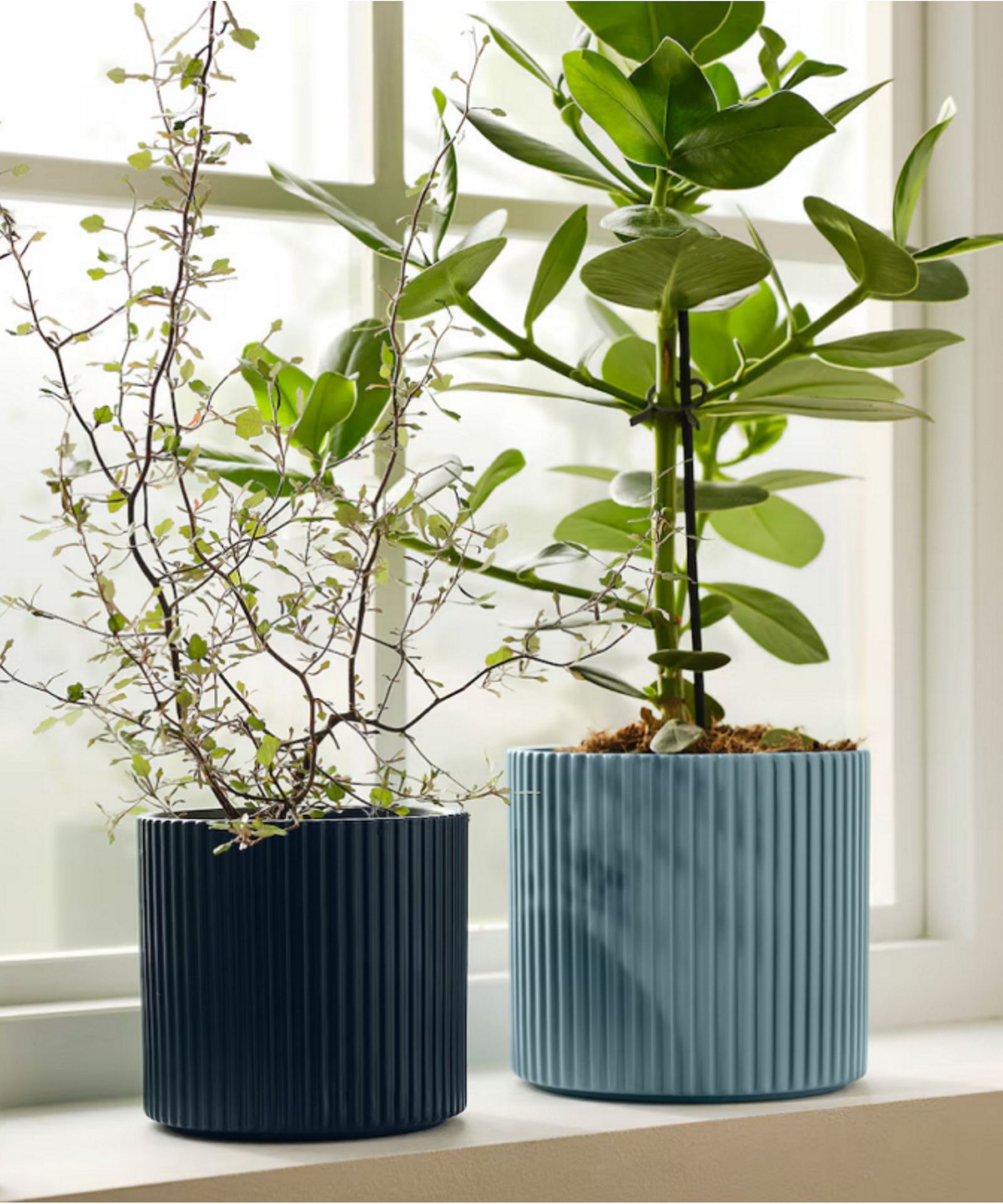 Paint an outdoor plant pot in 3 simple steps | Homes and Gardens