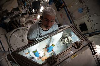 In photos: The astronauts of Expedition 65 to the International Space ...