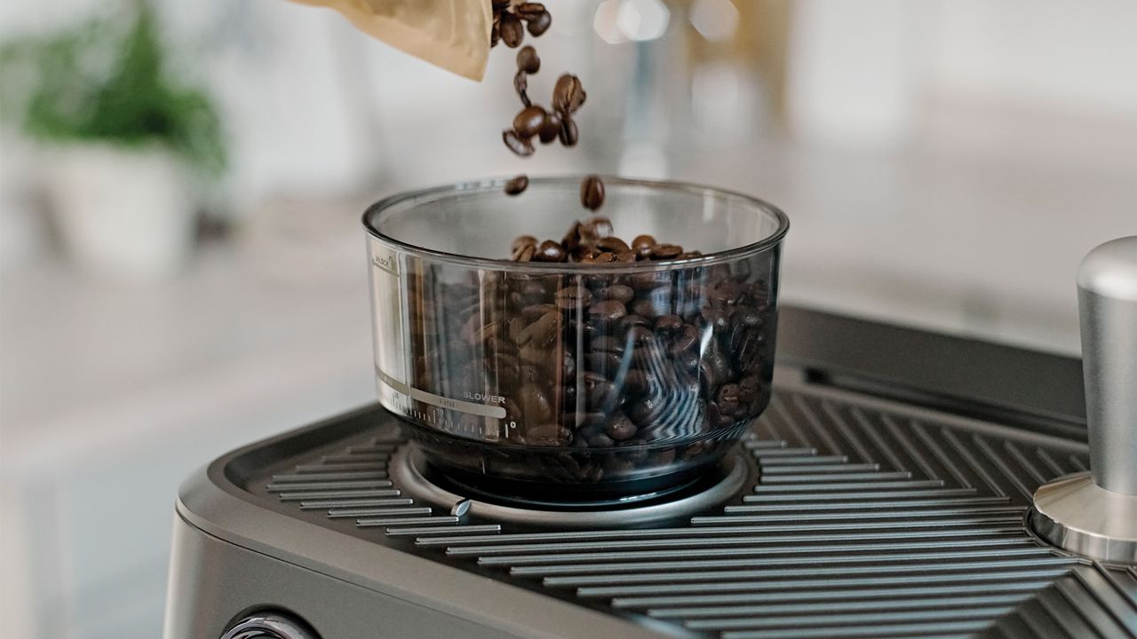 Dualit Espressivo Pro review: a top semi-auto espresso maker for ...