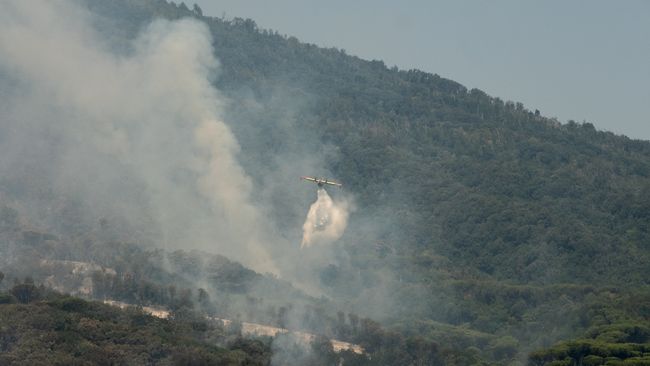 Mount Vesuvius closed to hikers as 2-mile-wide wildfire erupts on ...