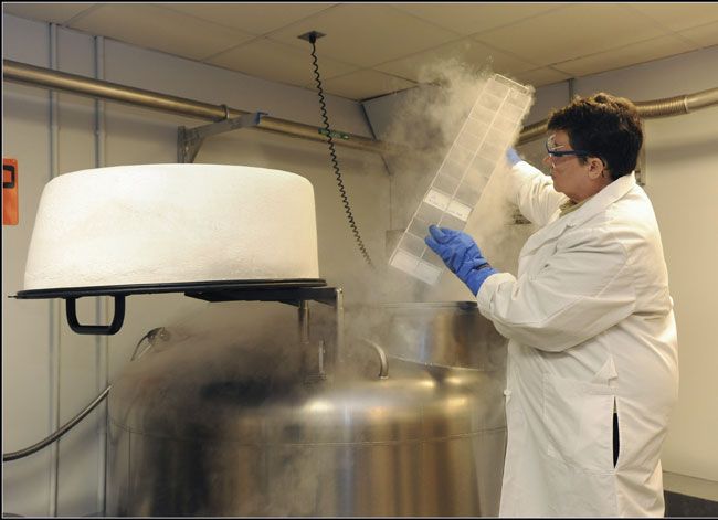 Could Extinct Animals Be Resurrected from Frozen Samples? | Live Science