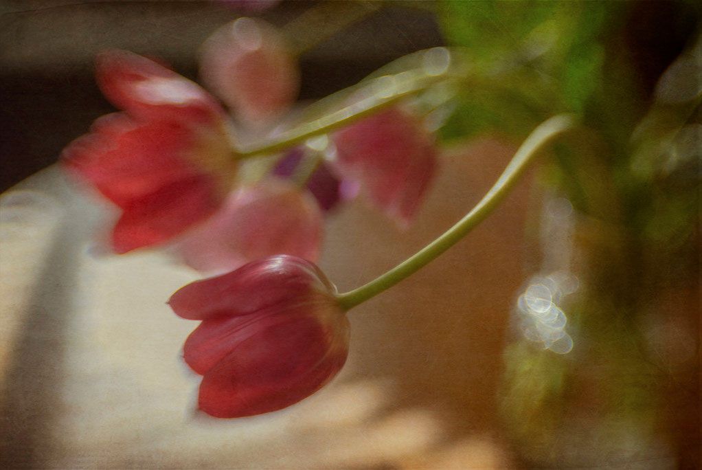 Still life photography: 30 beautiful examples | Creative Bloq