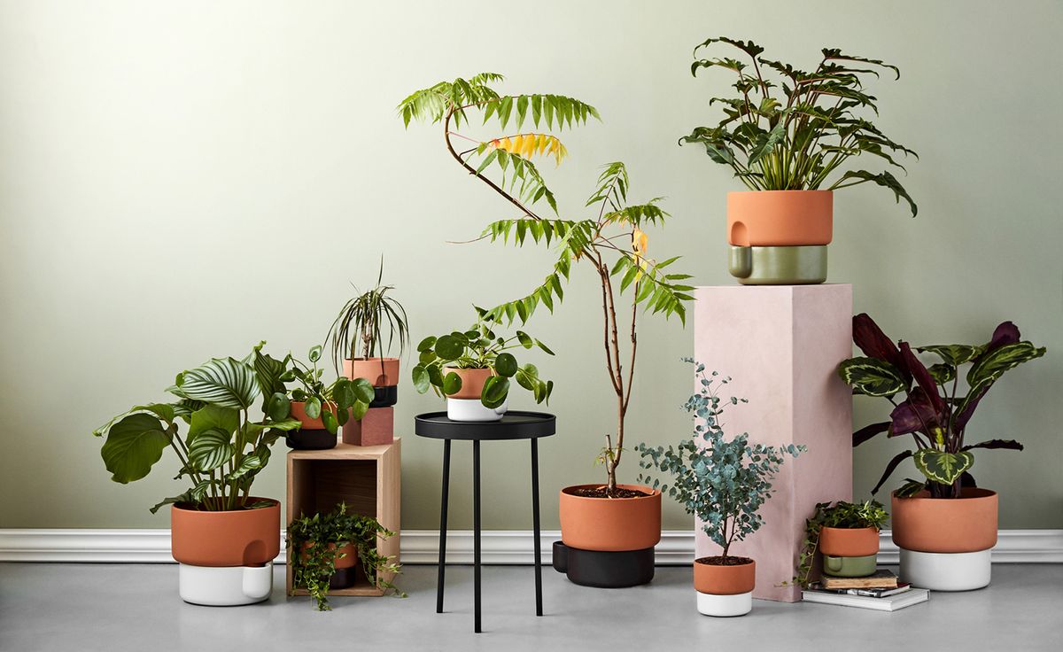 Northern makes its introduction at Stockholm Furniture Fair | Wallpaper*