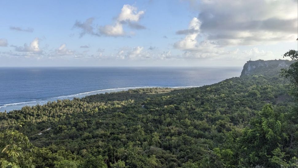 Remote cave in Guam reveals ancient voyagers carried rice to Pacific ...