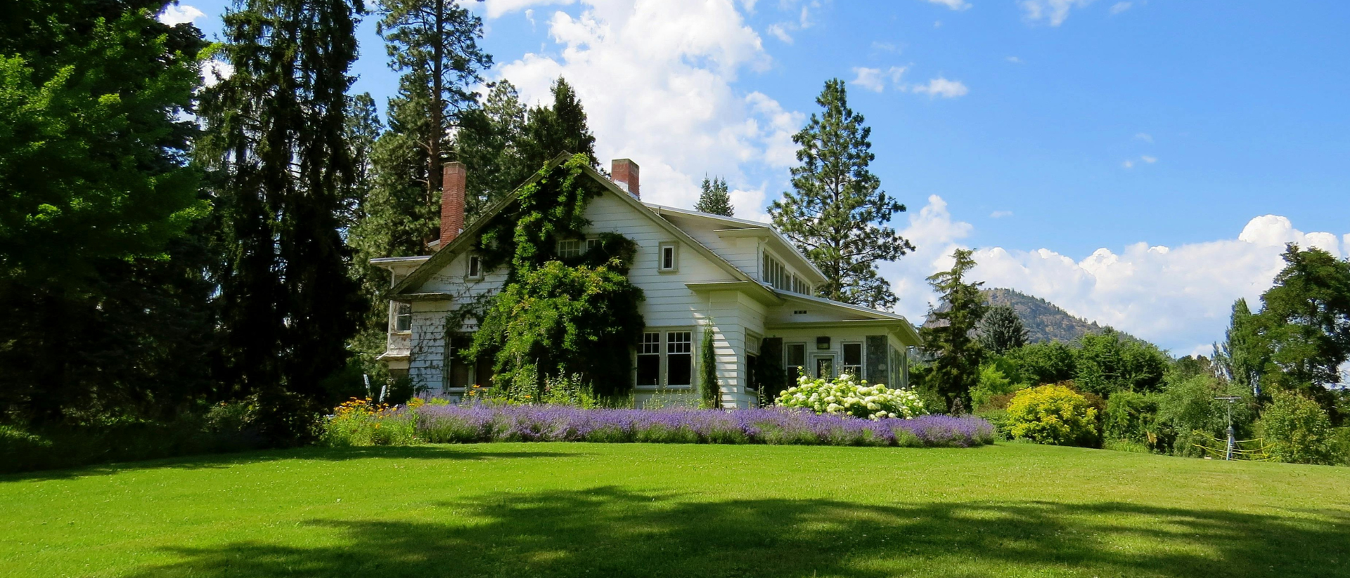 What is lawn rust? How to identify, fix and prevent it | Top Ten Reviews