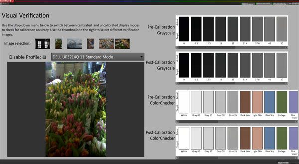 CalMAN RGB How-To: Advanced Calibration, Part 3 - Do It Like Tom's ...
