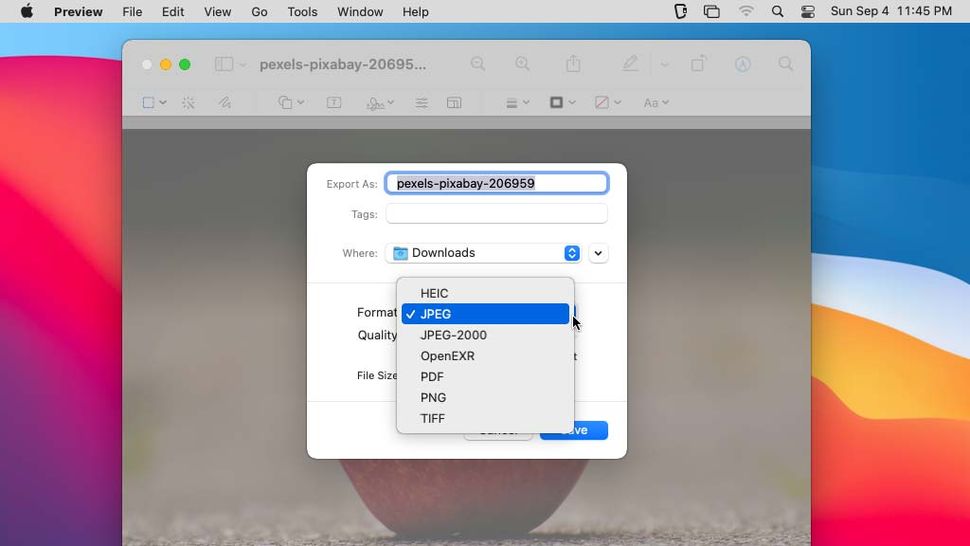How to resize and convert images on macOS using Preview | Laptop Mag