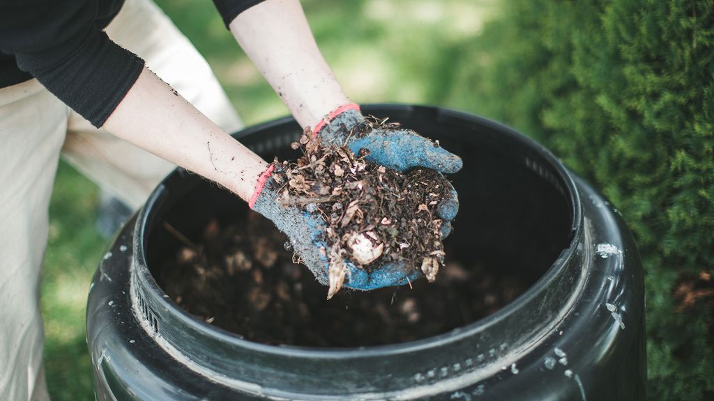 How to make plant fertilizer: 7 natural methods to try | Homes and Gardens
