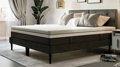 Emma Diamond Degree Topper review: supreme comfort for your old ...