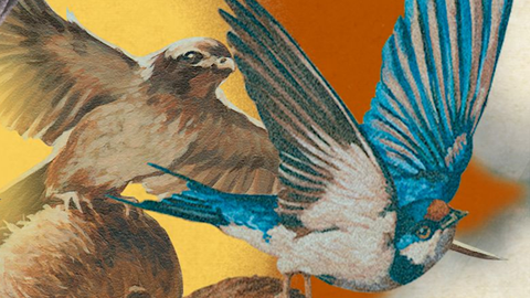 Monty Python is the next Magic: The Gathering Secret Lair crossover, in ...