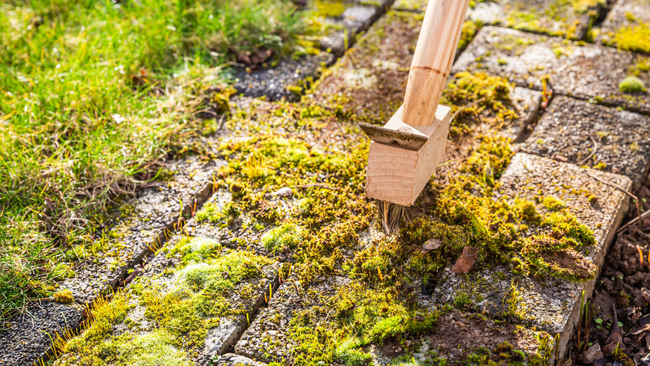 How to kill moss on driveways and patios | Homebuilding