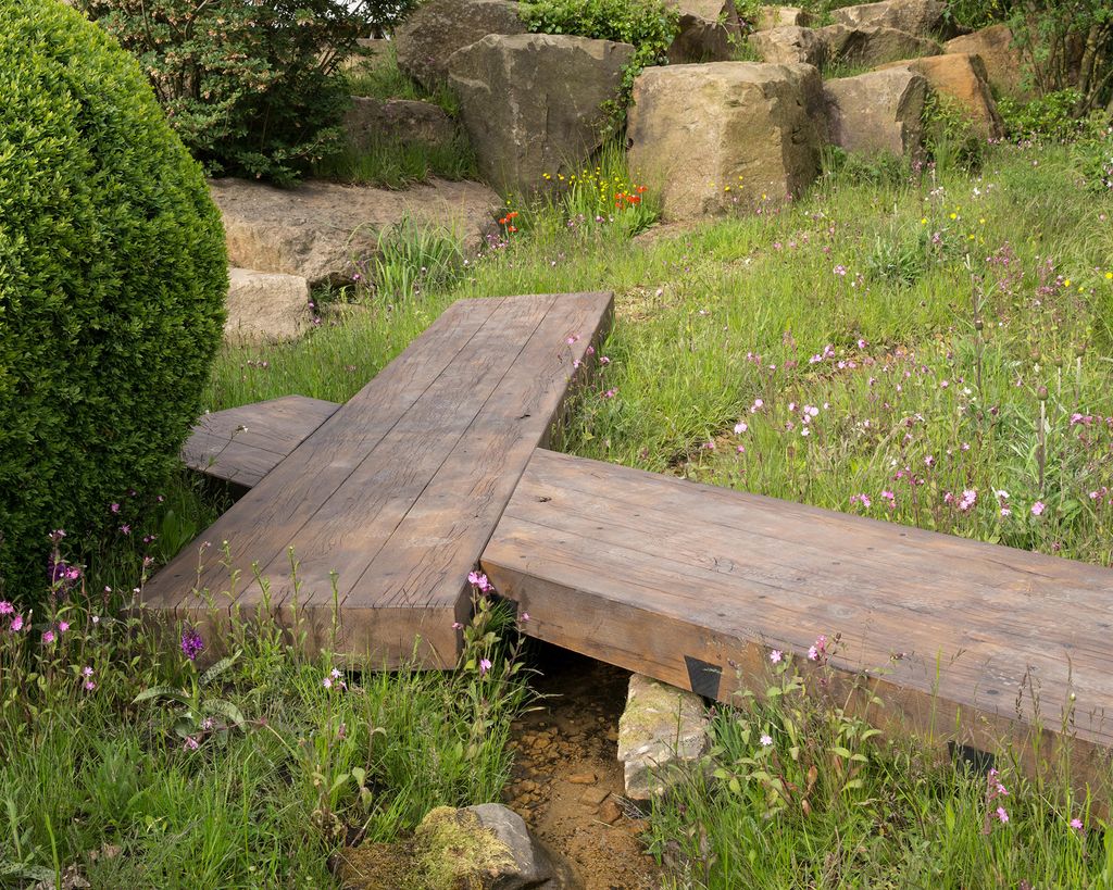 Bog gardens: expert advice on how and where to create one | Gardeningetc
