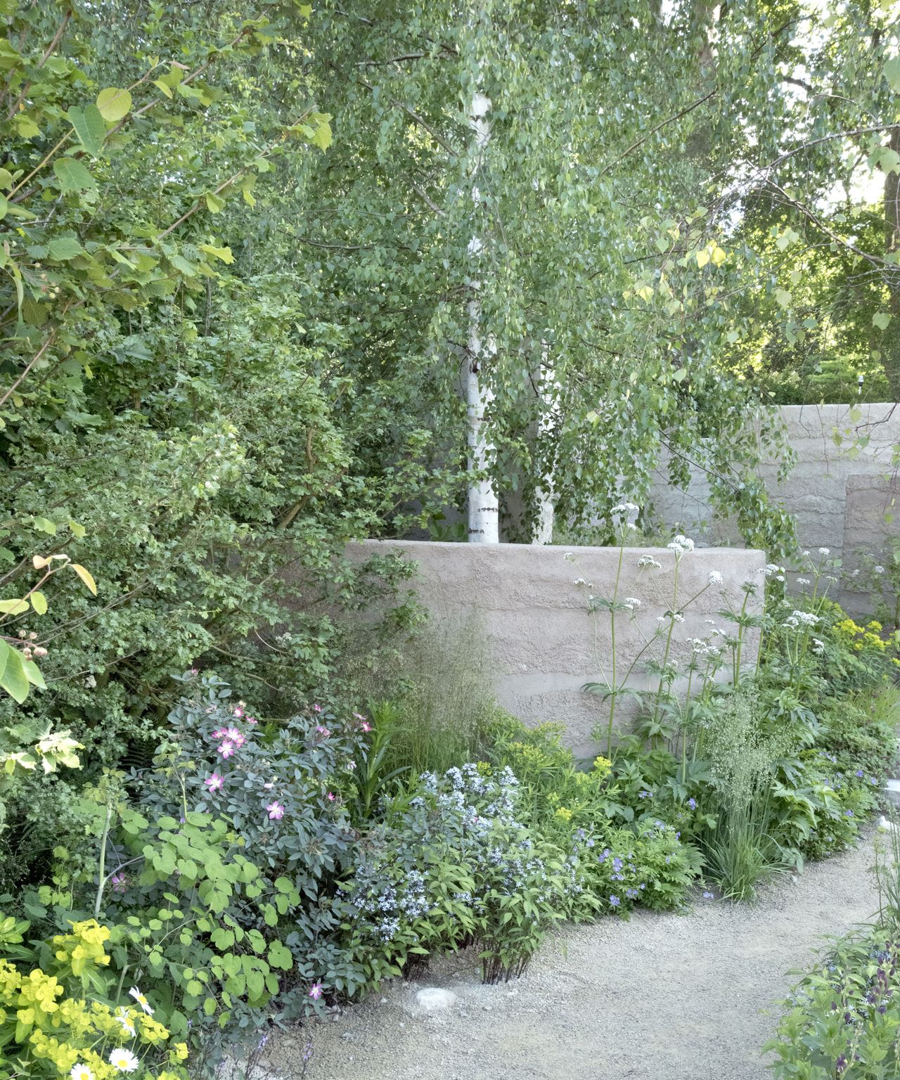 How to make a backyard more private without a fence | Homes and Gardens