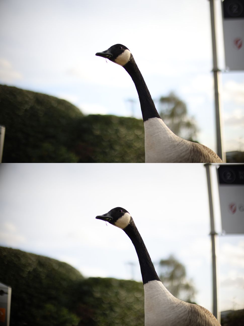 Canon RF 45mm f/1.2 STM review: The super-fast glass that's super ...