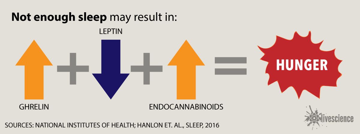 The Science of Hunger: How to Control It and Fight Cravings | Live Science