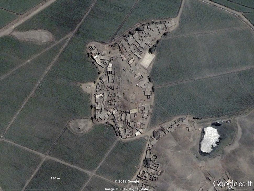 In Photos: Earthly Mounds Shaped Like Animals | Live Science
