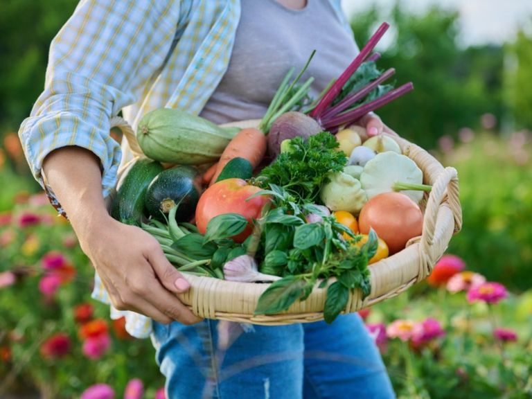 Why Sustainable Eating Is Good For The Earth And For You | Gardening ...