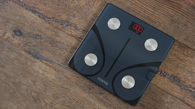 Best Smart Scales To Track Body Fat Percentage | Coach