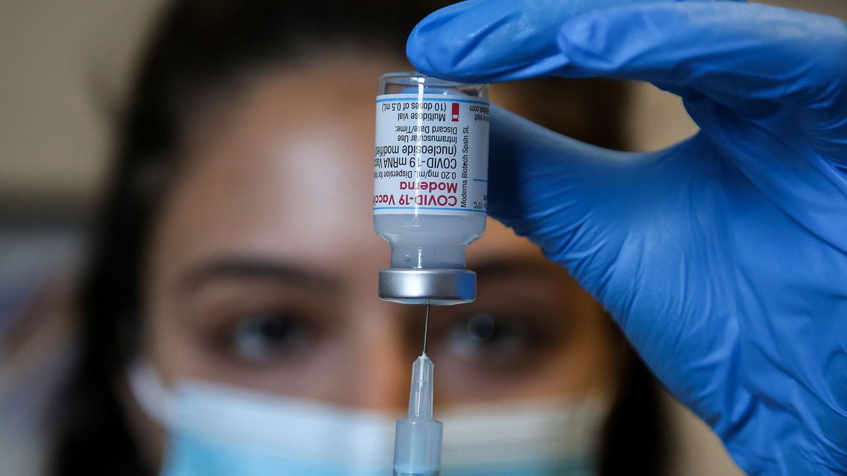 The best vaccine-makers’ stocks to buy now | MoneyWeek