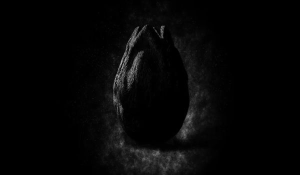 Alien: Covenant Reveals First Cryptic Teaser | Cinemablend