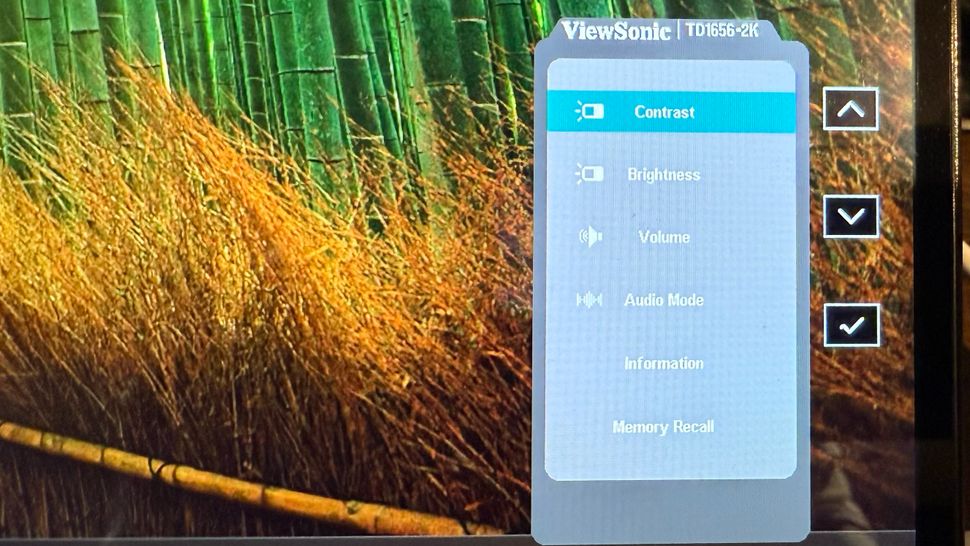 ViewSonic TD1656-2K portable monitor review: A touch above the rest | Tom's Hardware