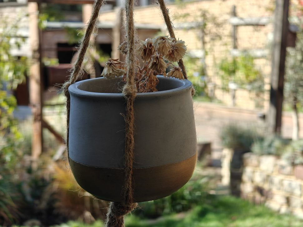 OnePlus Open foldable with Hasselblad triple-camera system launches – and it's coming to the US ...